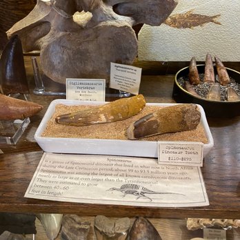 PAXTON GATE - Updated October 2025 - 198 Photos & 167 Reviews - 4204 N ...