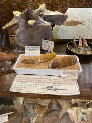 PAXTON GATE - Updated September 2025 - 198 Photos & 168 Reviews - 4204 ...