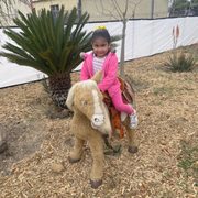 RANCHO LOS FONSECA - 117 Photos & 17 Reviews - Petting Zoos - 3275 ...
