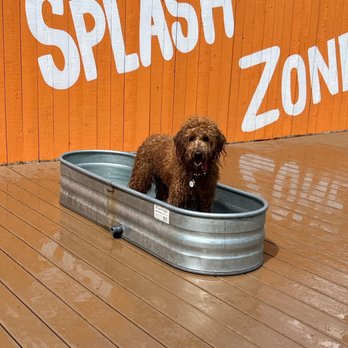 FETCH PARK AT THE WORKS - Updated August 2025 - 16 Photos - 1295 ...