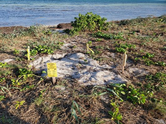 GEIGER BEACH - Updated June 2025 - 60 Photos - Boca Chica Rd, Key West ...