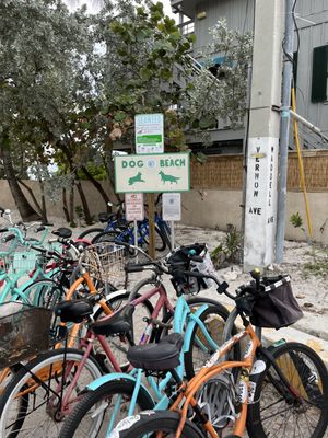 KEY WEST DOG BEACH - Updated December 2025 - 38 Photos & 26 Reviews ...