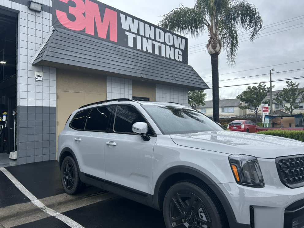 NEW VISION AUTO GLASS PLUS TINT - Updated July 2024 - 5907 Photos & 172 ...