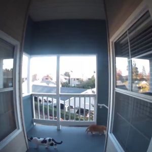 CHANNEL POINT APARTMENTS - 68 Photos & 30 Reviews - 5926 Bixby Village ...