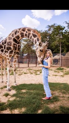 OAK MEADOW RANCH FEATURING THE WHITEHORSE STEAKHOUSE - Updated August ...