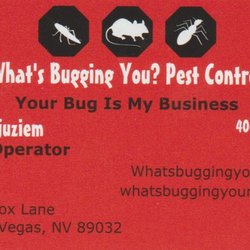 WHAT’S BUGGING YOU PEST CONTROL - 29 Photos & 24 Reviews - 1530 Bradfox Ln, North Las Vegas ...