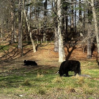 ALLANDALE FARM - Updated October 2025 - 113 Photos & 71 Reviews - 259 ...