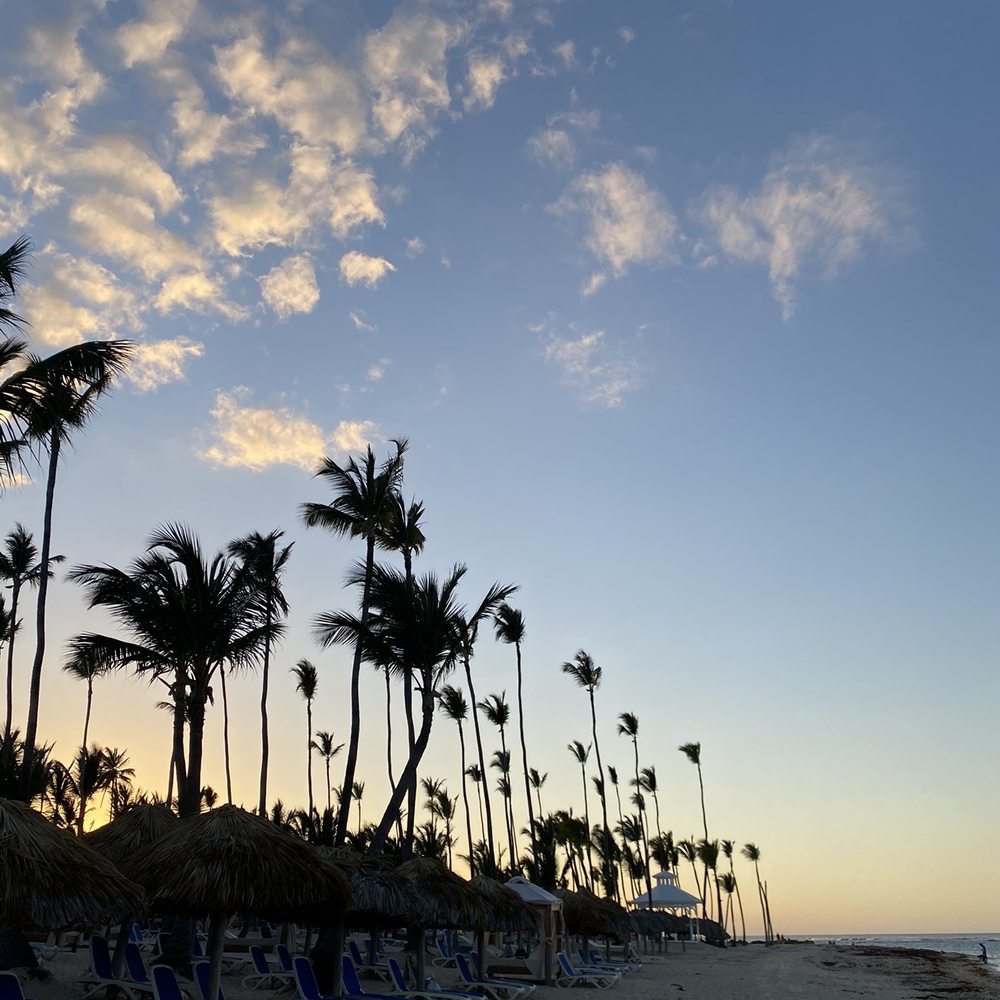 Summer Wallpapers Tumblr Hd