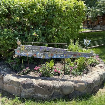 X DIAMOND RANCH - Updated August 2025 - 24 Photos & 15 Reviews - 300 ...