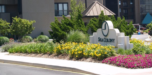 SPOSATO LANDSCAPE - Updated January 2026 - 34 Photos & 16 Reviews ...