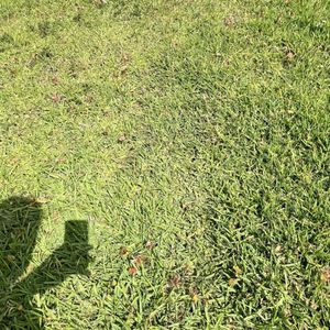 RIDD PEST CONTROL - Updated March 2025 - 35 Reviews - 5418 56th ...