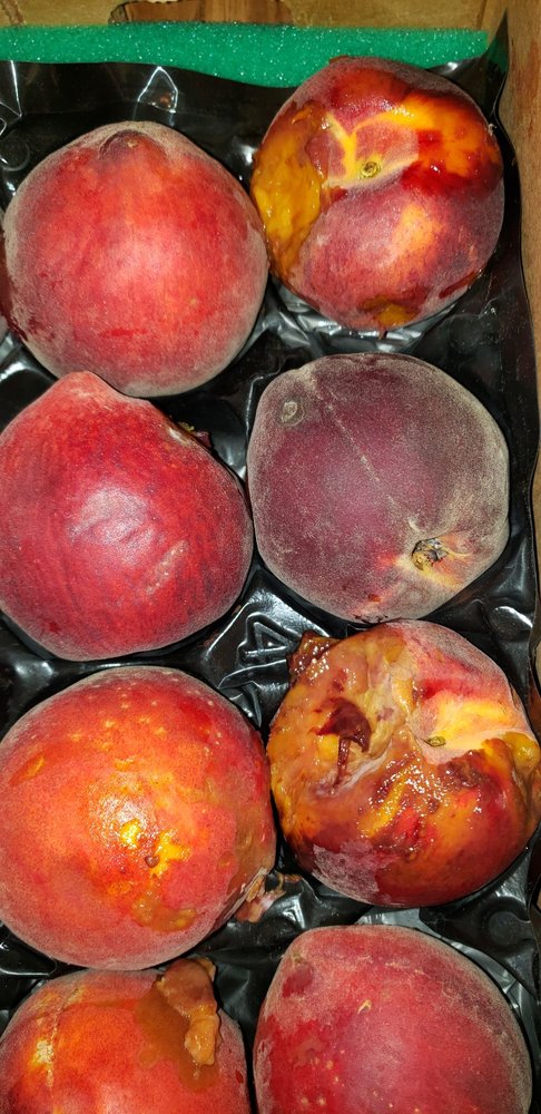 PEARSON FARM - 27 Photos & 14 Reviews - Fruits & Veggies - 5575 Zenith ...