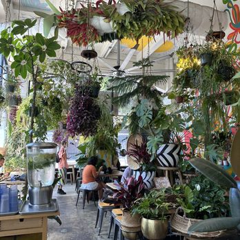 YUKO KITCHEN DTLA - Updated September 2024 - 1200 Photos & 570 Reviews ...