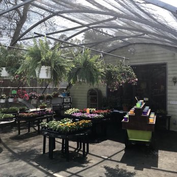 ANVIL FARMS - Updated June 2025 - 16 Photos & 10 Reviews - 2523 Anvil ...