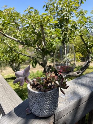 FALLBROOK WINERY - Updated November 2025 - 148 Photos & 92 Reviews ...