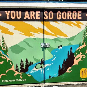 SUGARPINE DRIVE-IN - 532 Photos & 334 Reviews - Ice Cream & Frozen ...