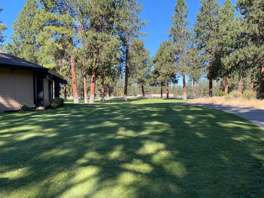 OLD BACK NINE - Updated December 2025 - 34 Photos & 24 Reviews - 60650 ...