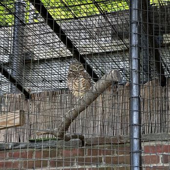 BRANDYWINE ZOO - Updated January 2026 - 180 Photos & 73 Reviews - 1001 ...