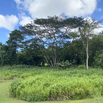 PALI GOLF COURSE - Updated October 2025 - 98 Photos & 72 Reviews - 45 ...