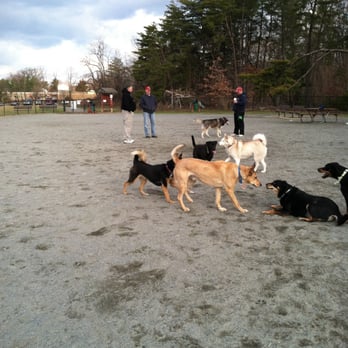 MASON DISTRICT PARK - Updated December 2025 - 38 Photos & 34 Reviews ...