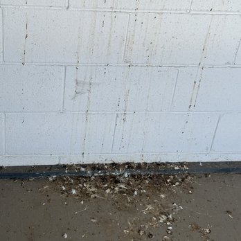 PORTICO PROPERTY MANAGEMENT - Updated November 2025 - 64 Photos - 440 ...