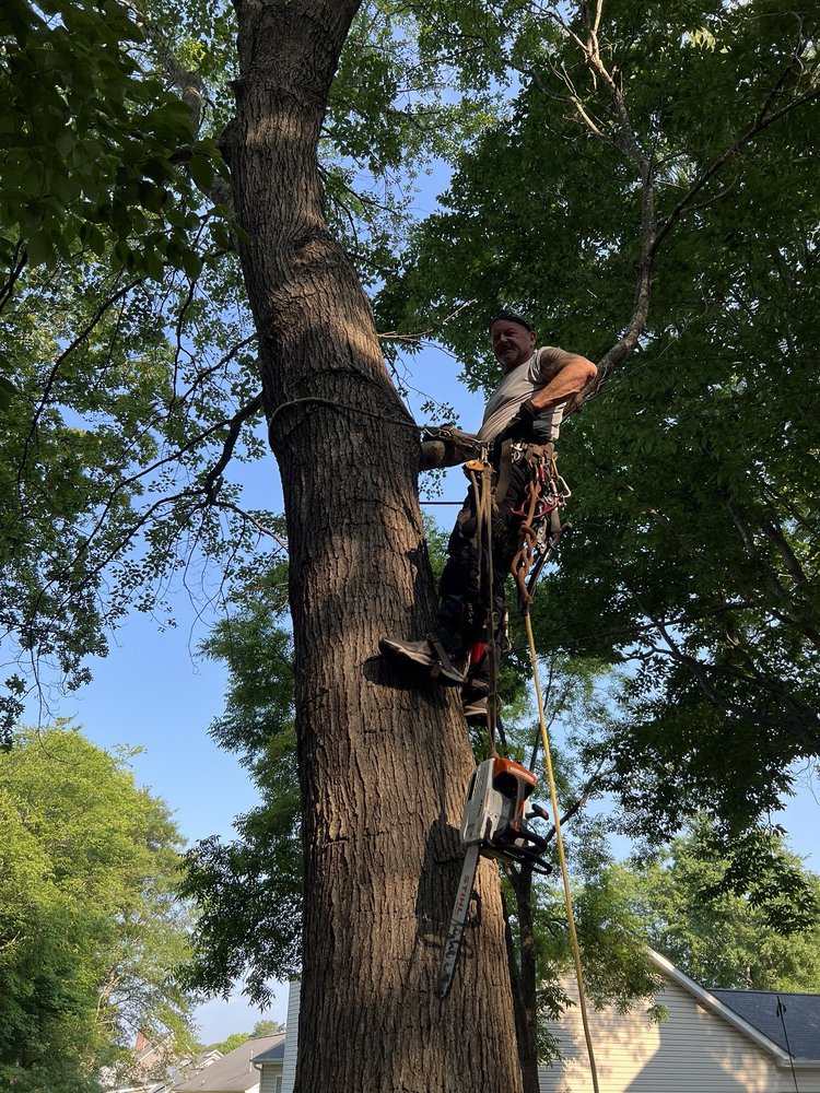 ECONO TREE MAN - Updated July 2025 - 20 Photos & 14 Reviews - 249 ...