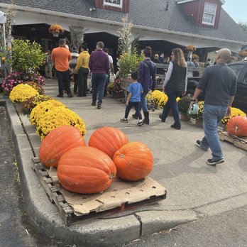 DEMAREST FARM - Updated September 2025 - 834 Photos & 361 Reviews - 244 ...