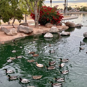 FREESTONE PARK - Updated May 2024 - 199 Photos & 104 Reviews - 1045 E Juniper Rd, Gilbert ...