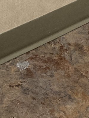 ATRIUM HEALTH MERCY, A FACILITY OF CAROLINAS MEDICAL CENTER - Updated ...