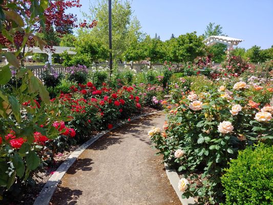 NATOMAS ROSE GARDEN - 194 Photos & 13 Reviews - 2921 Truxel Rd ...