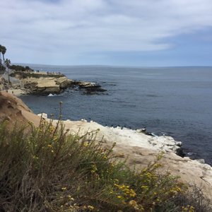 SHELL BEACH - 162 Photos & 32 Reviews - Beaches - Coast Blvd, La Jolla ...