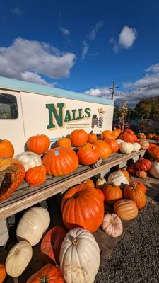 NALLS PRODUCE - Updated June 2024 - 382 Photos & 124 Reviews - 7310 ...