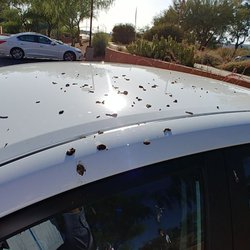 ROAD RUNNER EXPRESS CAR WASH - 21 Photos & 68 Reviews - 15001 N 82nd St ...