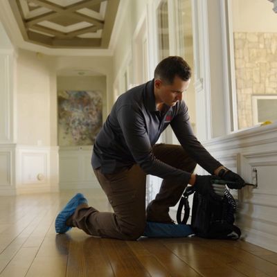 BULWARK EXTERMINATING - Updated August 2025 - 39 Photos & 10 Reviews ...