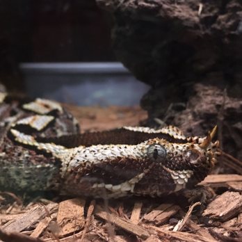 KENTUCKY REPTILE ZOO - Updated December 2025 - 53 Photos & 16 Reviews ...