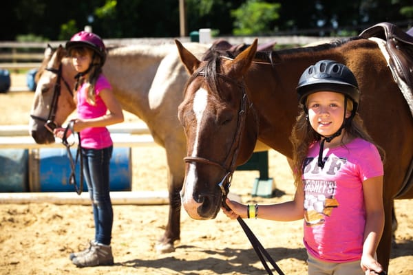 YMCA CAMP LETTS - Updated September 2025 - 34 Photos & 23 Reviews ...