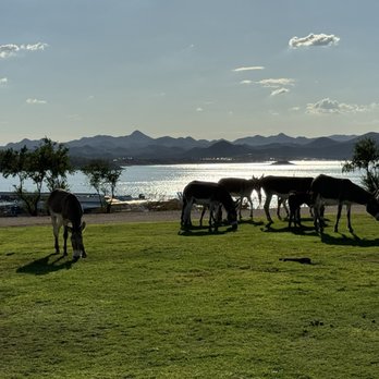 PLEASANT HARBOR RV RESORT - Updated January 2026 - 88 Photos & 55 ...