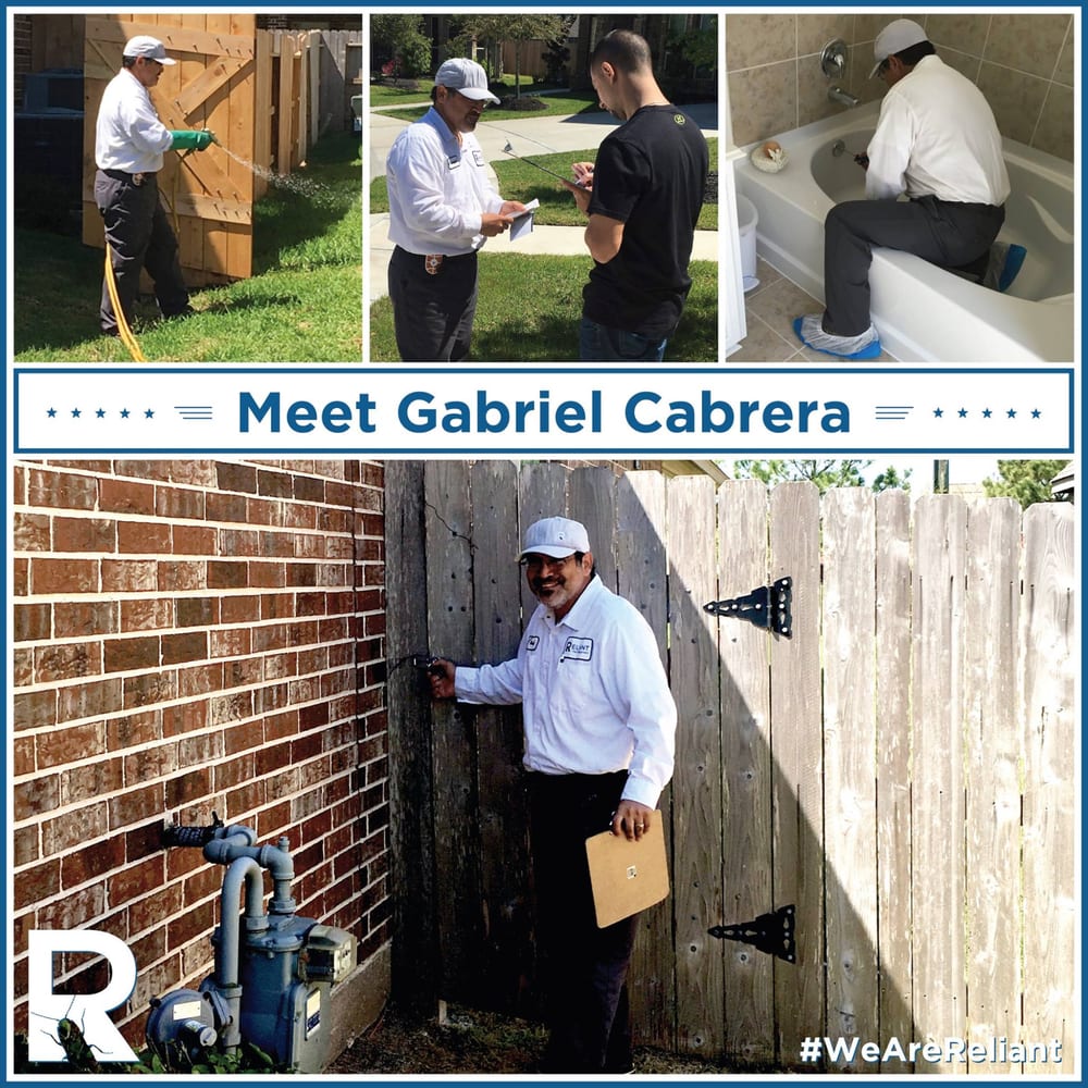 RELIANT PEST MANAGEMENT - Updated July 2025 - 162 Reviews - 900 Shelby ...