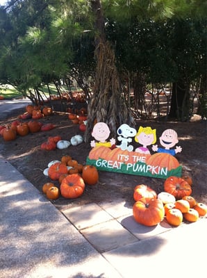 ELLIS POTTERY - Updated January 2026 - 17 Reviews - 3110 N Eastman Rd ...