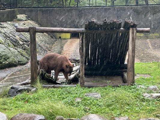 TRAILSIDE MUSEUMS & ZOO - Updated November 2025 - 188 Photos & 34 ...