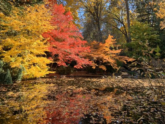 LITHIA PARK - 318 Photos & 153 Reviews - 59 Winburn Way, Ashland ...