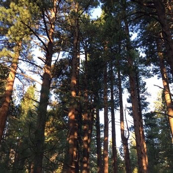 CALLAHAN PARK - Updated October 2025 - 76 Photos & 12 Reviews - 15960 ...