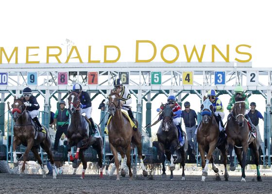 EMERALD DOWNS - Updated January 2026 - 307 Photos & 165 Reviews - 2300 ...
