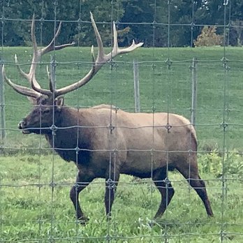 WILDWOOD ZOO - Updated September 2025 - 31 Photos & 12 Reviews - 608 W ...