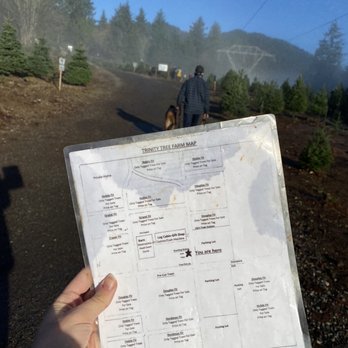 TRINITY TREE FARM - Updated December 2025 - 214 Photos & 104 Reviews ...