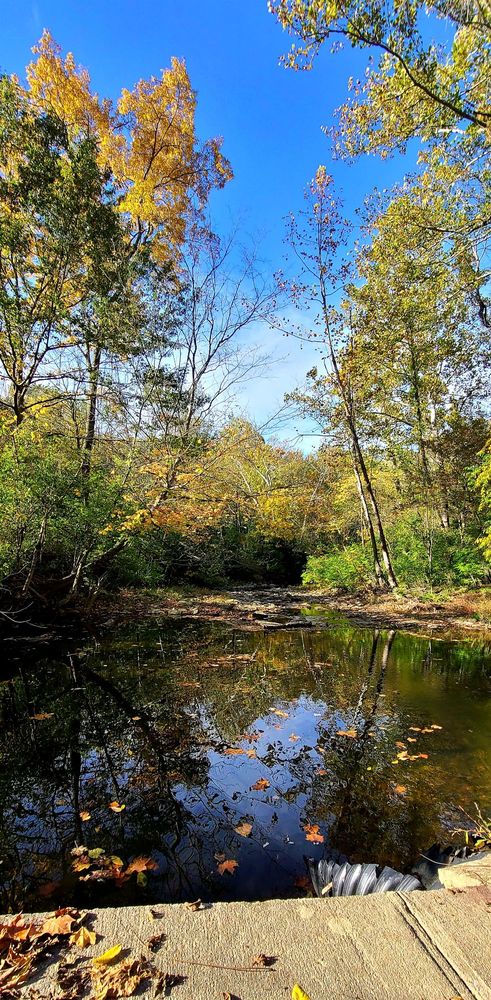 SYCAMORE PARK - Updated October 2024 - 18 Photos - 4082 State Rte 132 ...