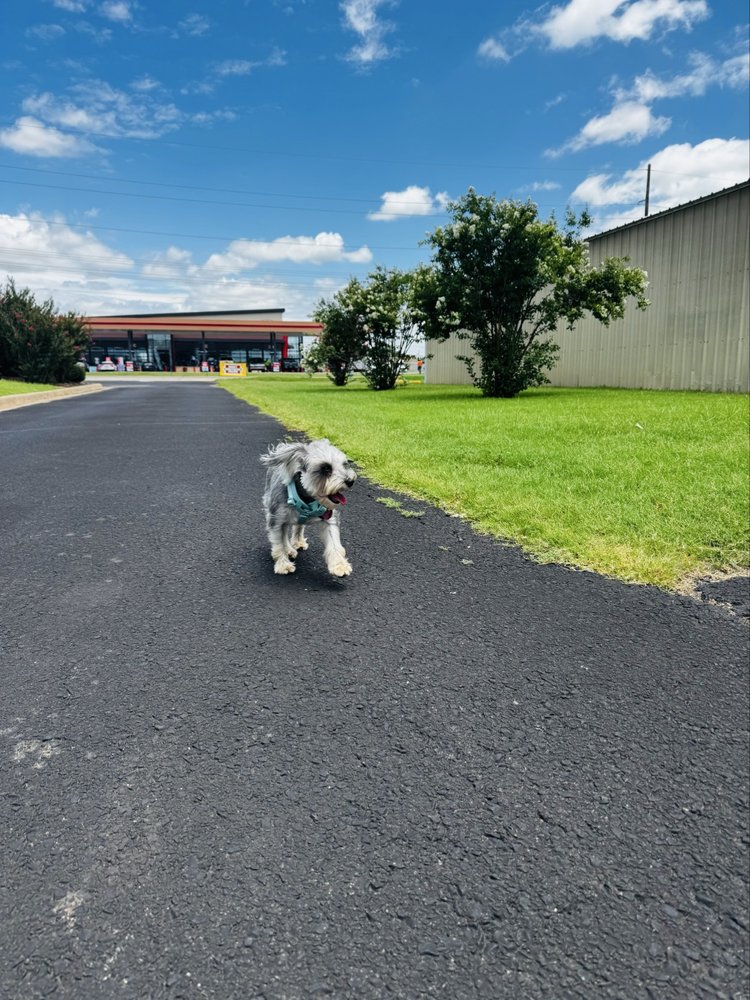 ALL PETS MEDICAL CENTER - Updated August 2025 - 11 Photos - 1300 E ...