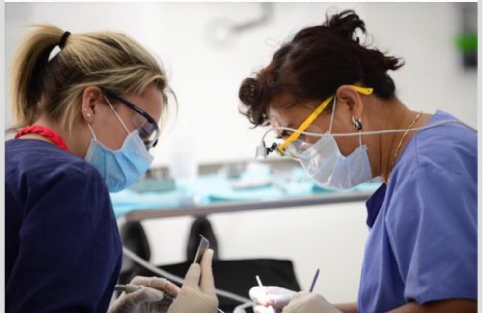 DENTIST LEXINGTON - ROSE WANG DENTISTRY - Updated December 2025 - 49 ...