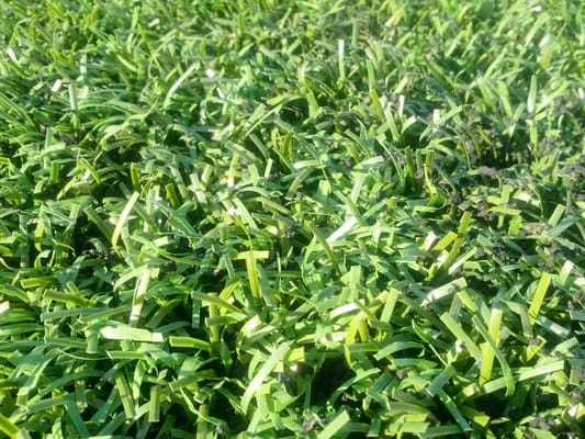 LOGAN FIELD - Updated December 2025 - 901 12th Ave, Seattle, Washington ...