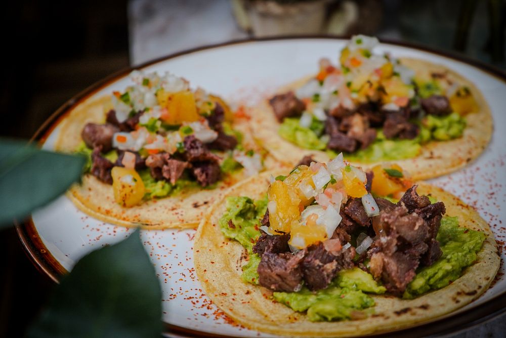 FAUNA LATIN FLAVOR - Updated January 2026 - 56 Photos & 28 Reviews ...